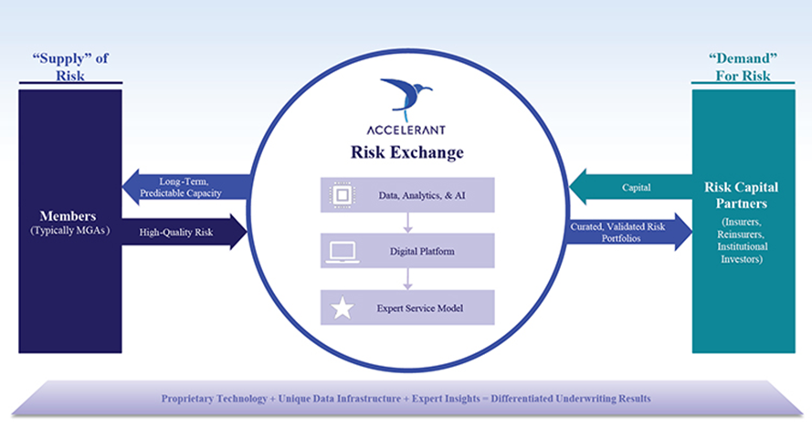 Accelerant Holdings IPO: A Deep Dive into the Data-Driven Insurance ...